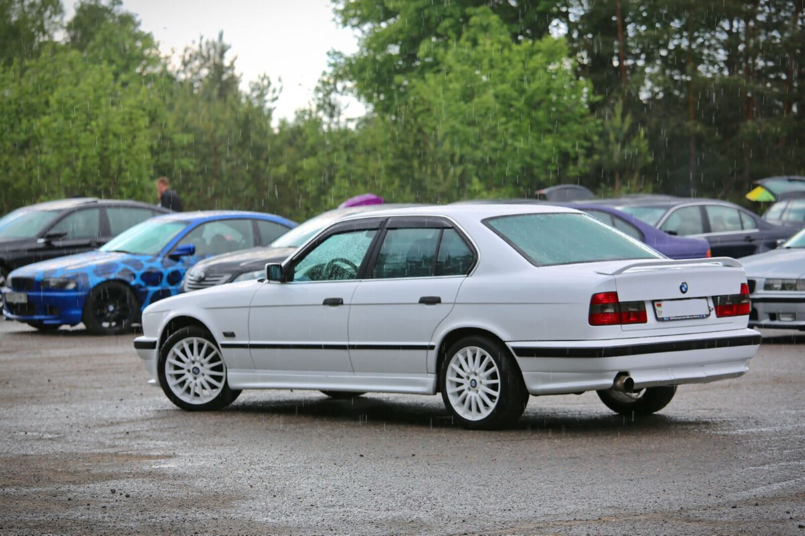 Сколько сейчас стоят BMW E34, Mercedes-Benz W124 и VW Passat B3 в Беларуси?